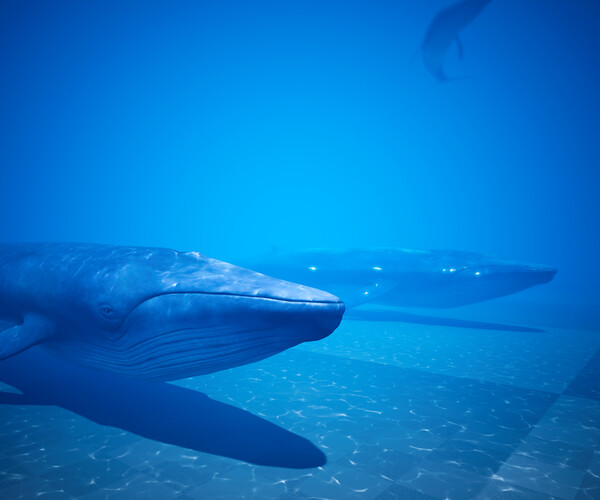 ArtStation - Blue Whale UE4 with Spline System | Game Assets