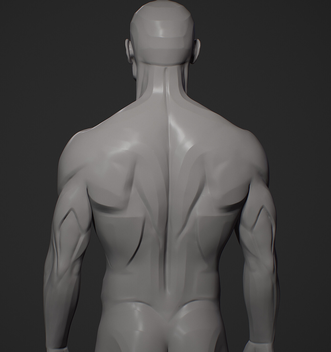 ArtStation - Planes of the figure - Male | Resources