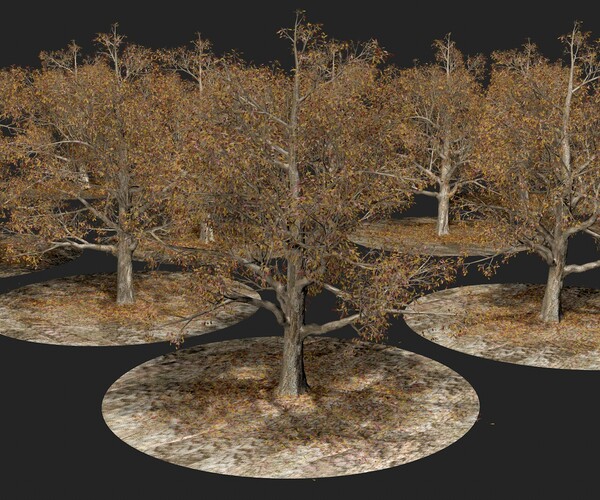 ArtStation - Autumn Tree | Resources