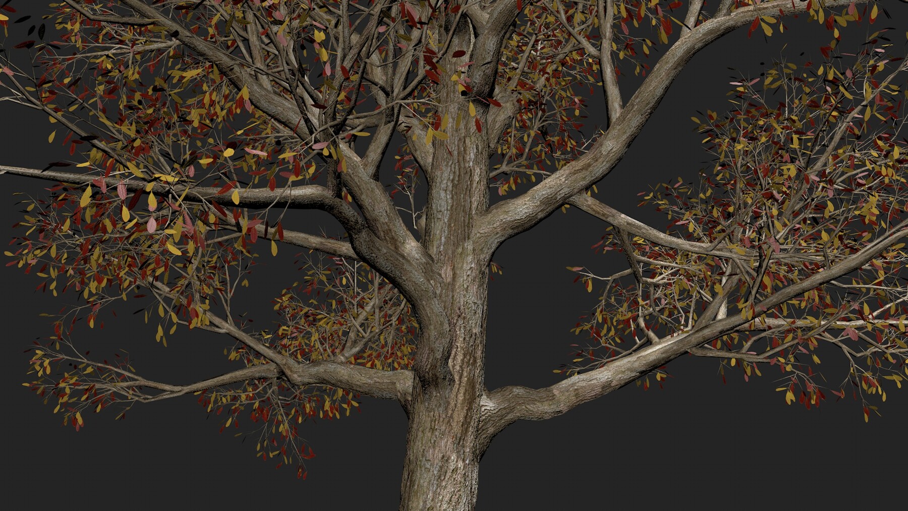 ArtStation - Autumn Tree | Resources