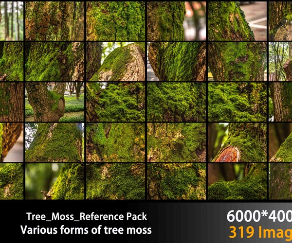 ArtStation - Tree_moss_Reference Pack | Resources