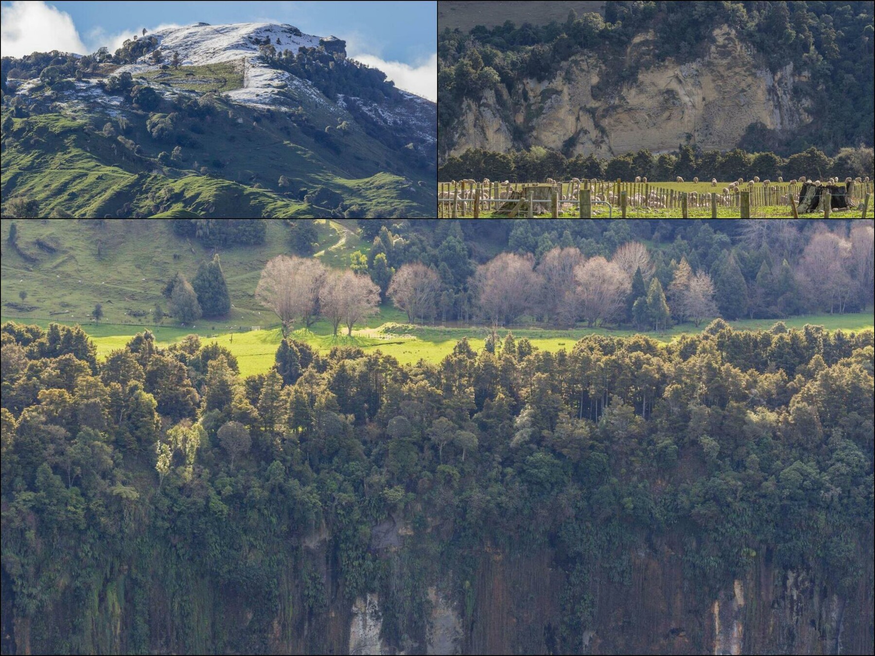ArtStation - 435 photos of White Cliff River | Resources