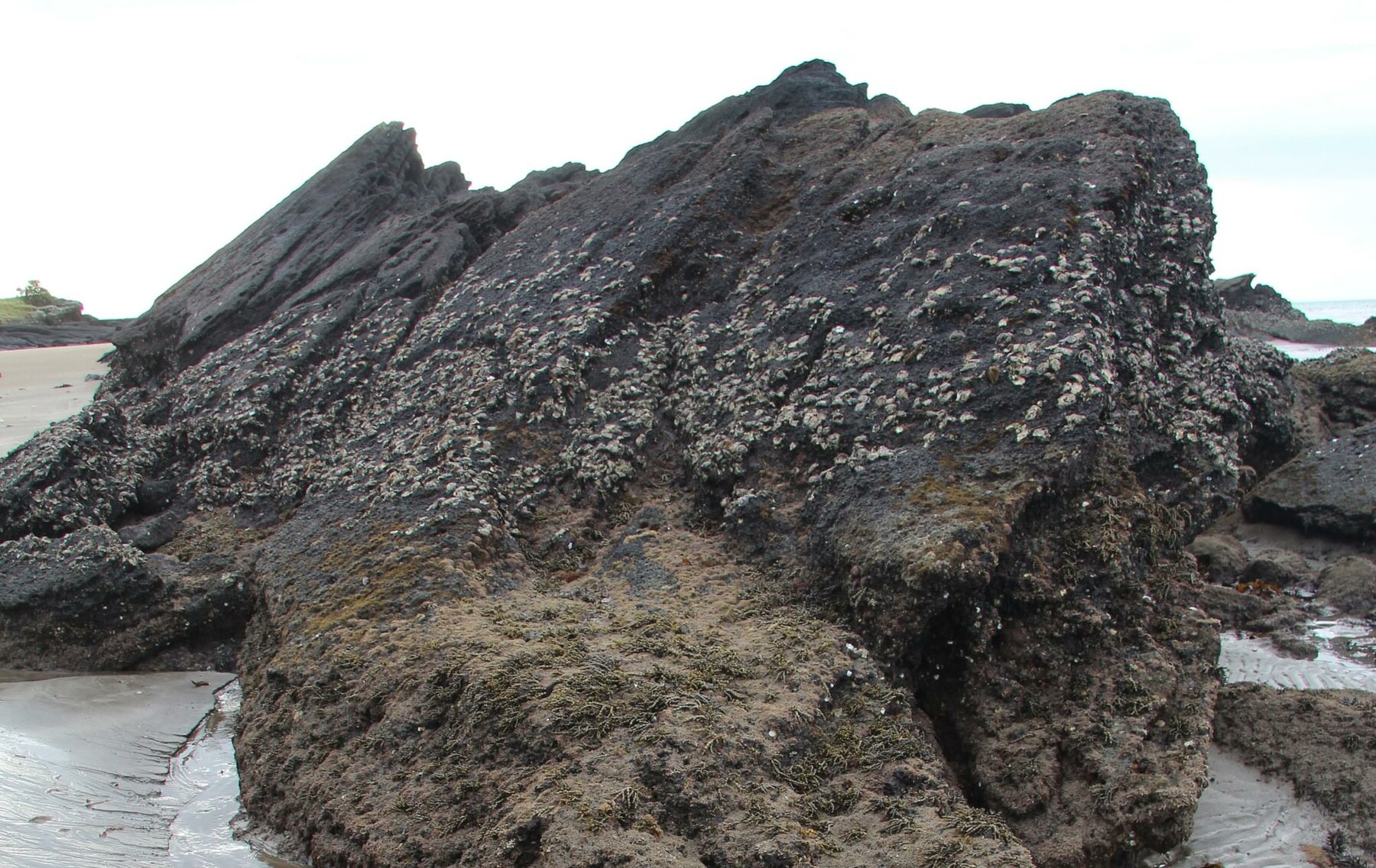 ArtStation - 259 photos of Basalt Rocks | Resources