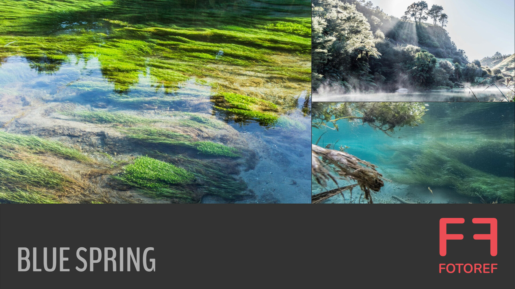 ArtStation - 464 photos of Blue Spring | Resources