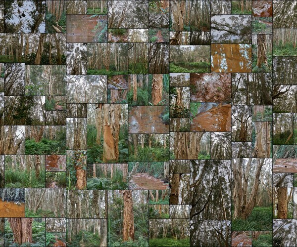 ArtStation - 102 photos of Dense Swamp | Resources
