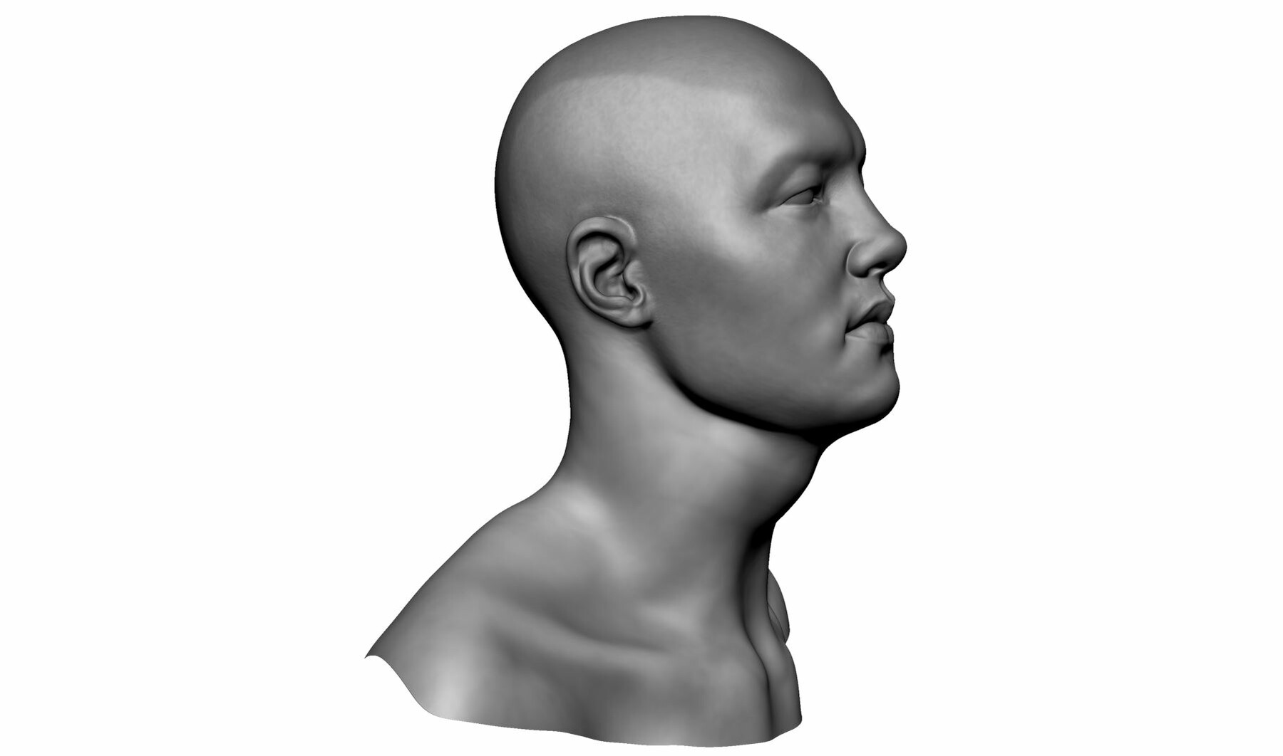 ArtStation - Asian Male Head 02 | Resources