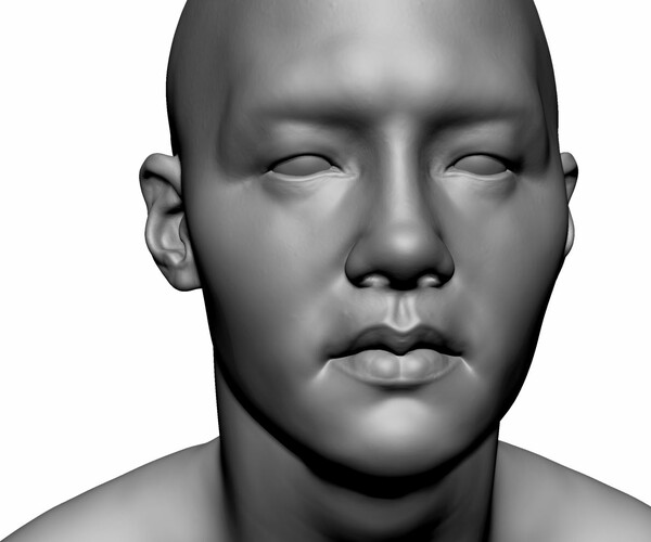 ArtStation - Asian Male Head 02 | Resources