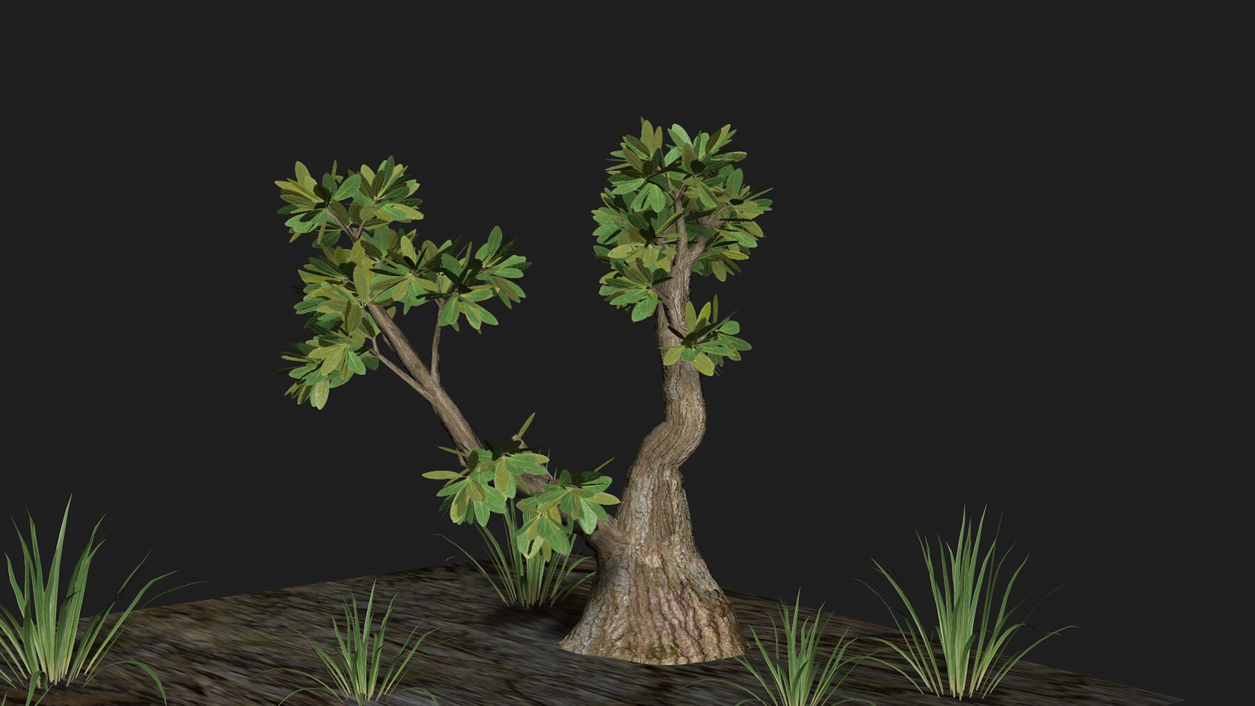 ArtStation - Five trees set | Resources