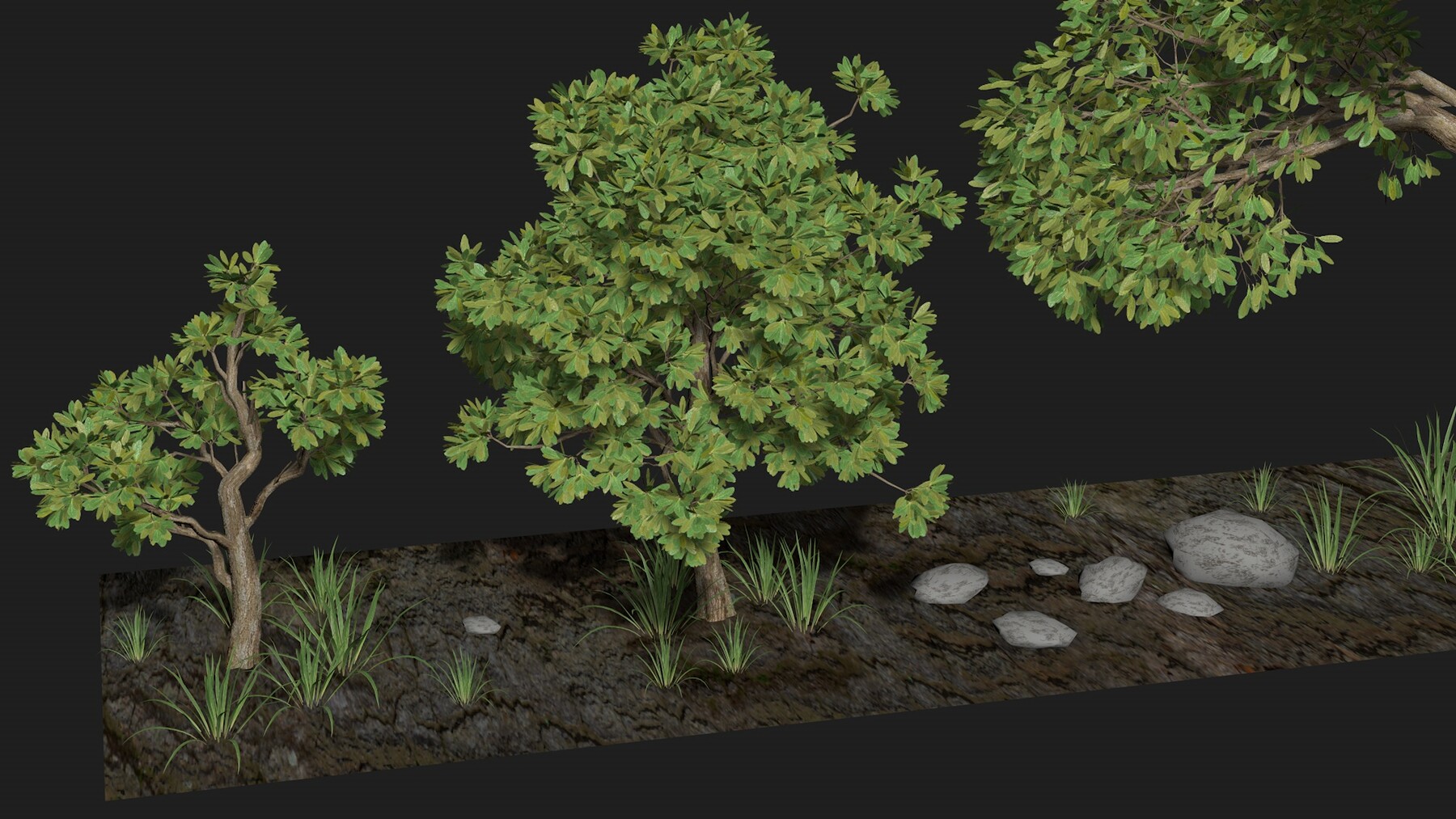 ArtStation - Five trees set | Resources