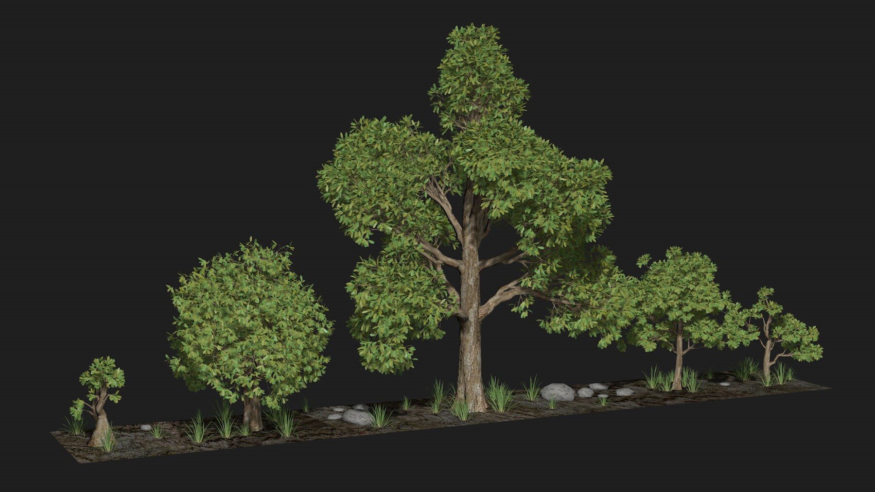 ArtStation - Five trees set | Resources