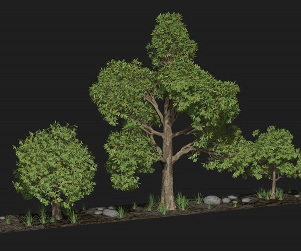 ArtStation - Five trees set | Resources