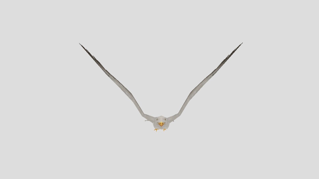 ArtStation - Seagull | Game Assets