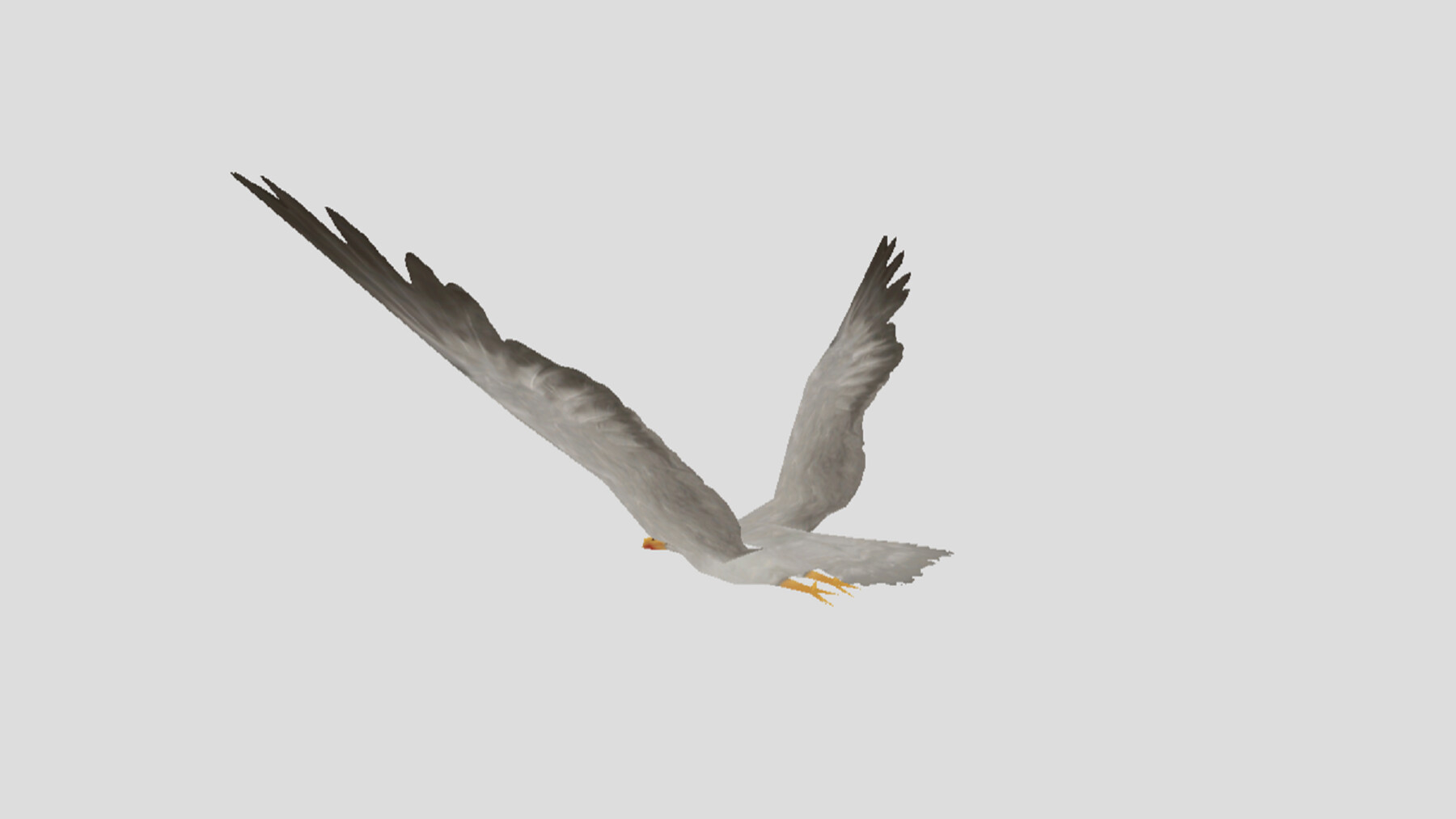 ArtStation - Seagull | Game Assets