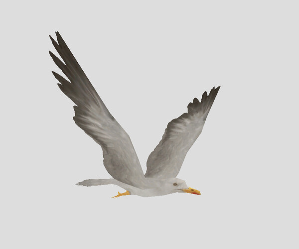 ArtStation - Seagull | Game Assets