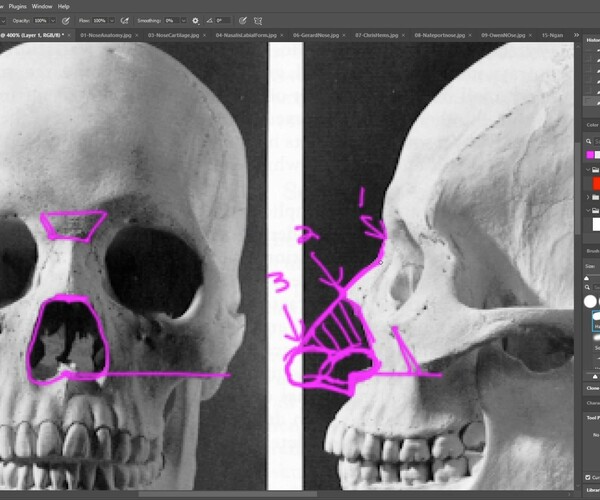 ArtStation - Nose for Sculptors | Tutorials