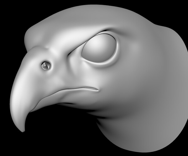 ArtStation - Bird head | Resources
