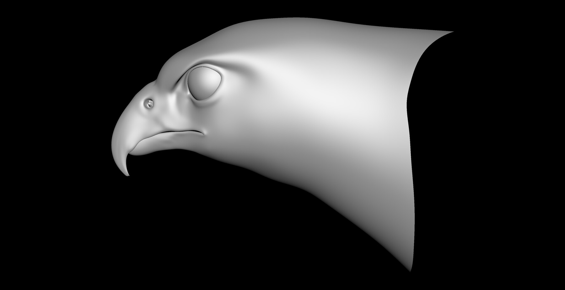 ArtStation - Bird head | Resources