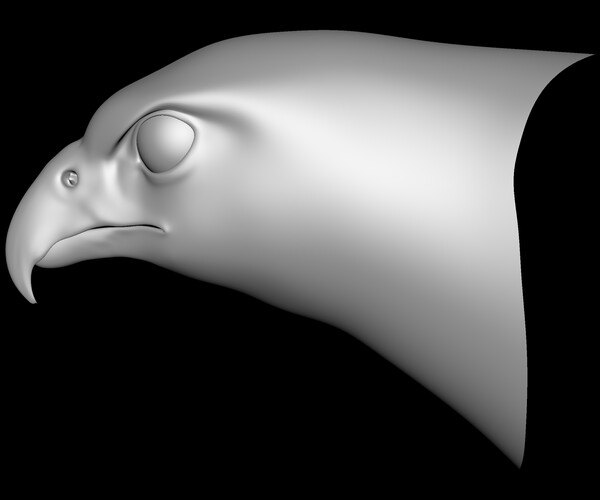 ArtStation - Bird head | Resources