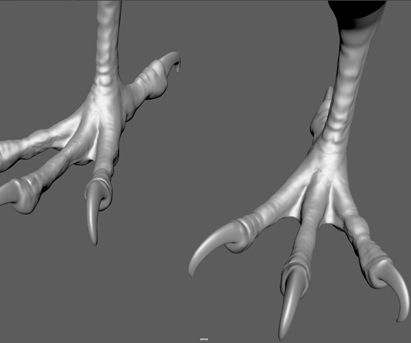 ArtStation - Bird paw | Resources