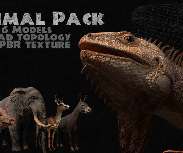 ArtStation - Animal Pack Part 1 | Resources