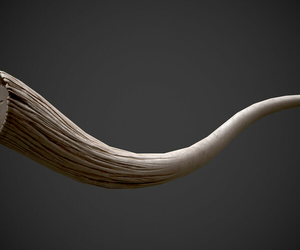 ArtStation - Elephant Fang | Game Assets