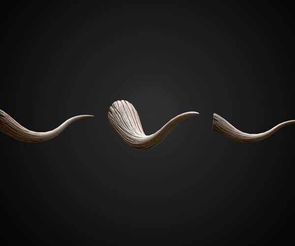 ArtStation - Elephant Fang | Game Assets