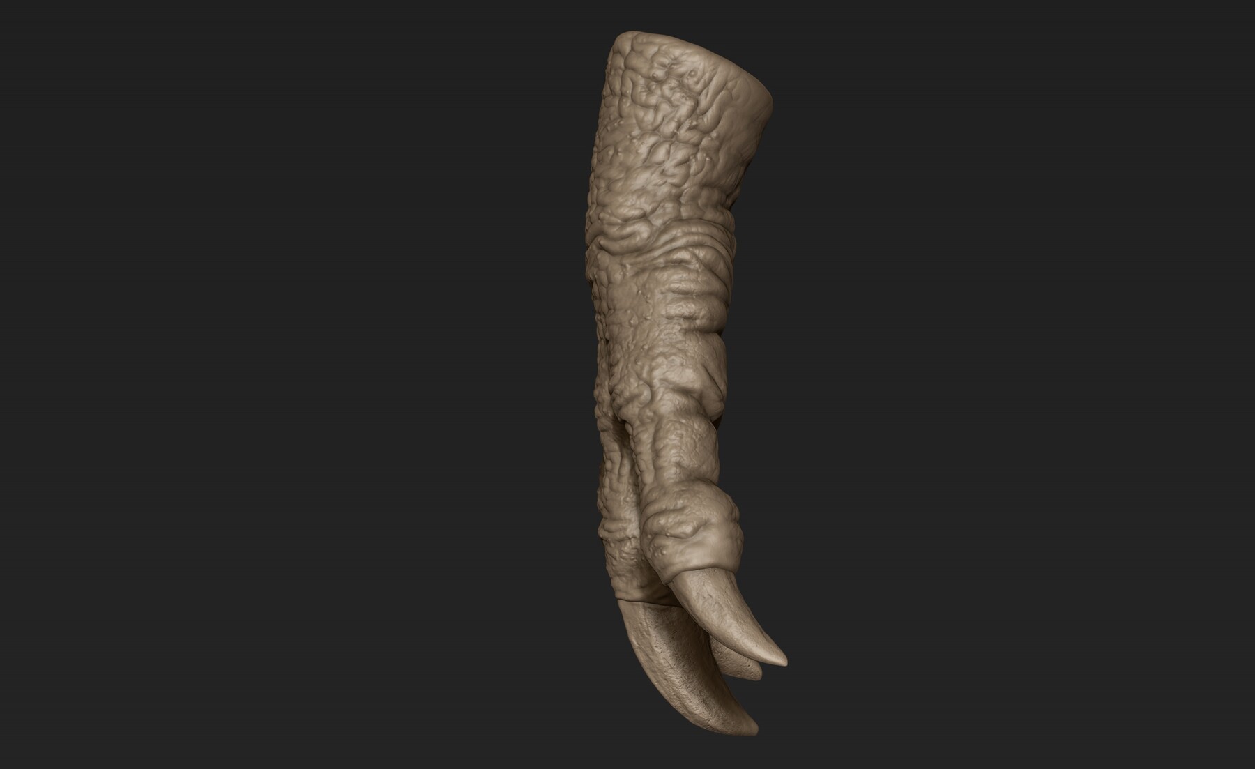 ArtStation - Creature Hand 2 | Resources