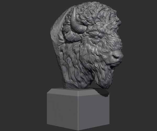 ArtStation - Bison bust | Resources