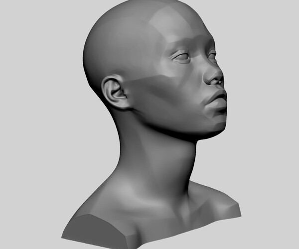 ArtStation - Female Head Planes | Resources