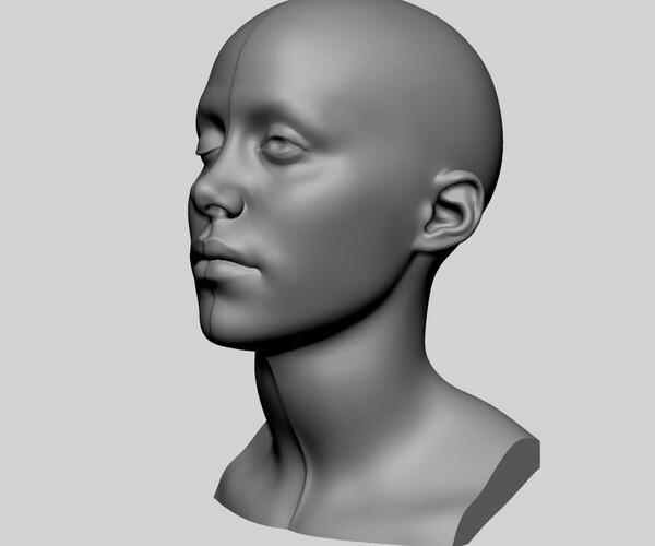 ArtStation - Female Head Printable | Resources