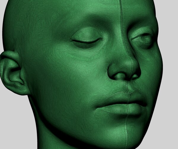 ArtStation - Female Head Printable | Resources