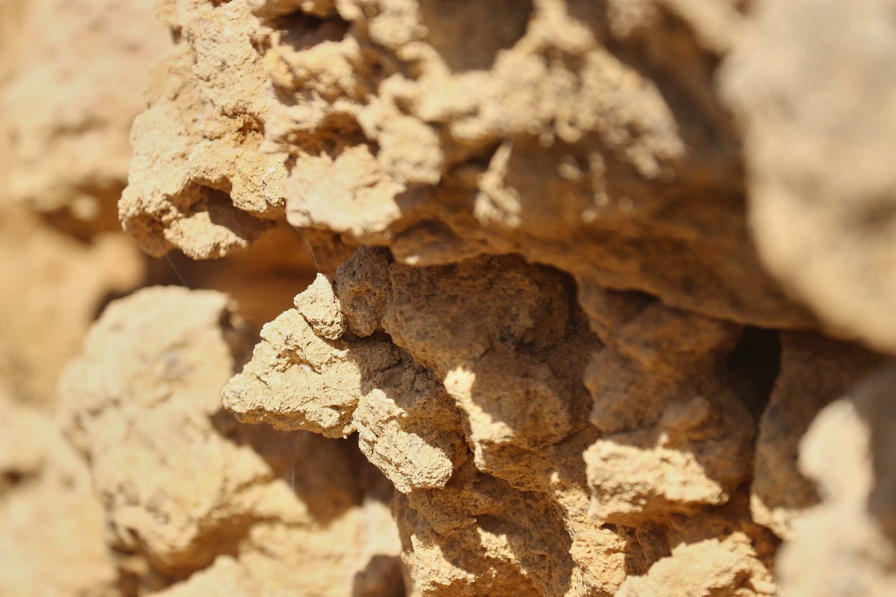 ArtStation - 114 photos of Eroded Sandstone Cliff | Resources