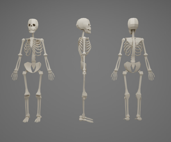 ArtStation - Skeleton | Game Assets
