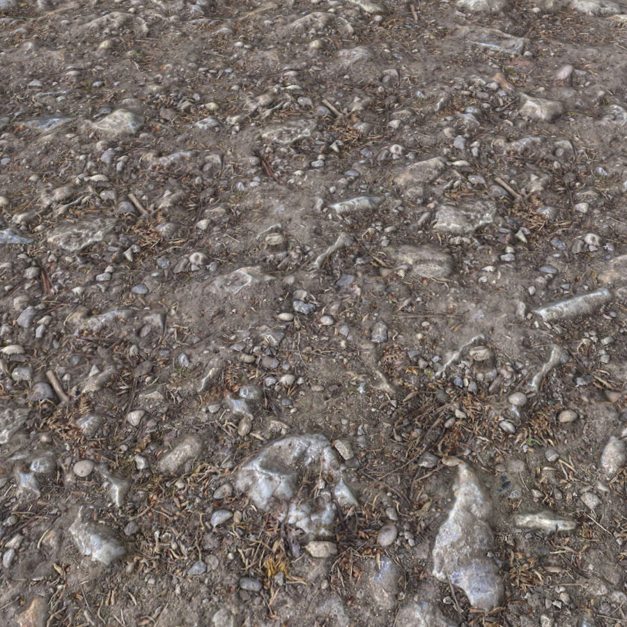 ArtStation - Forest Ground 5 Material Pack | Game Assets