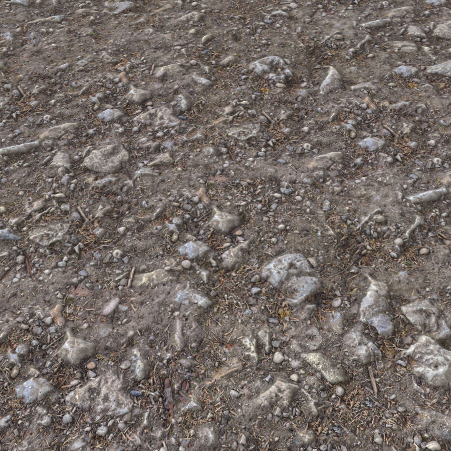 ArtStation - Forest Ground 5 Material Pack | Game Assets