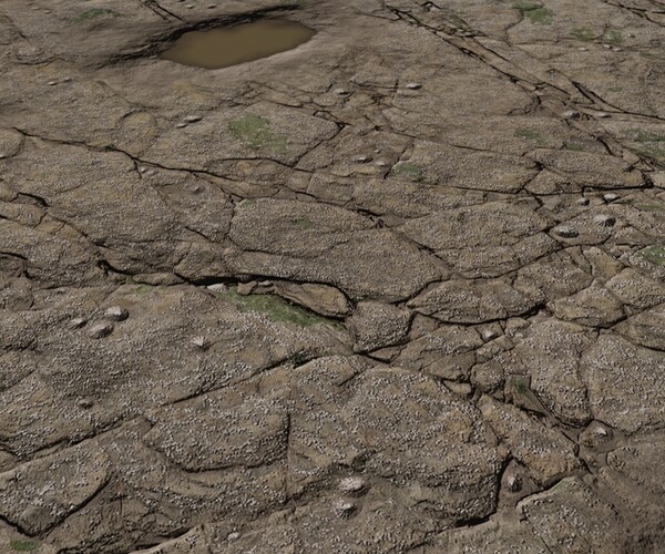 ArtStation - Wet Rock Texture | Game Assets