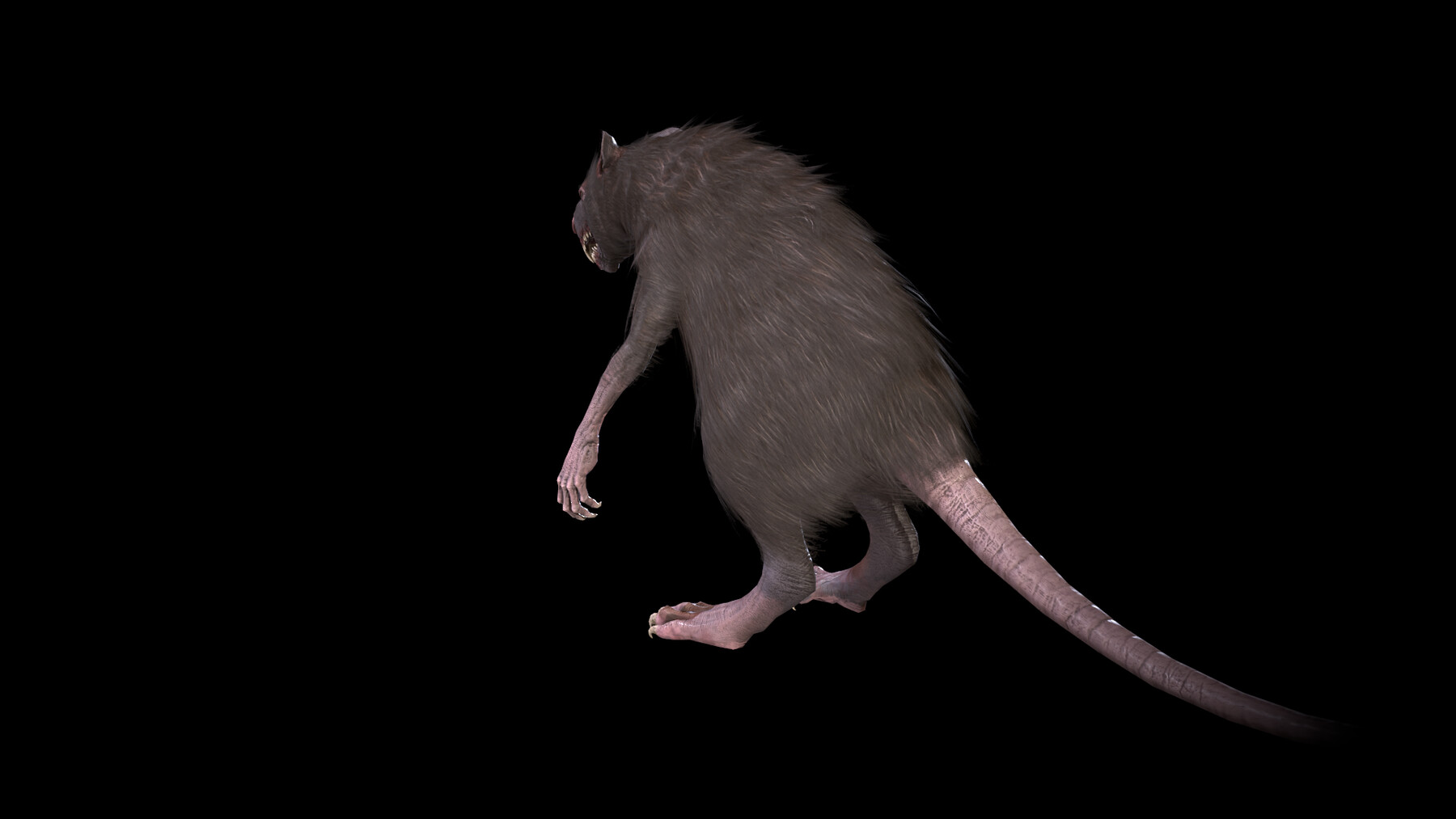 ArtStation - WereRat | Game Assets