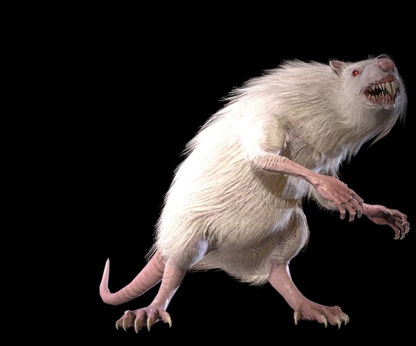 ArtStation - WereRat | Game Assets