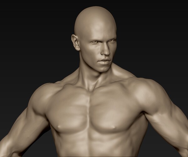 ArtStation - Male Full Body Sculpt Pose 14 | Resources