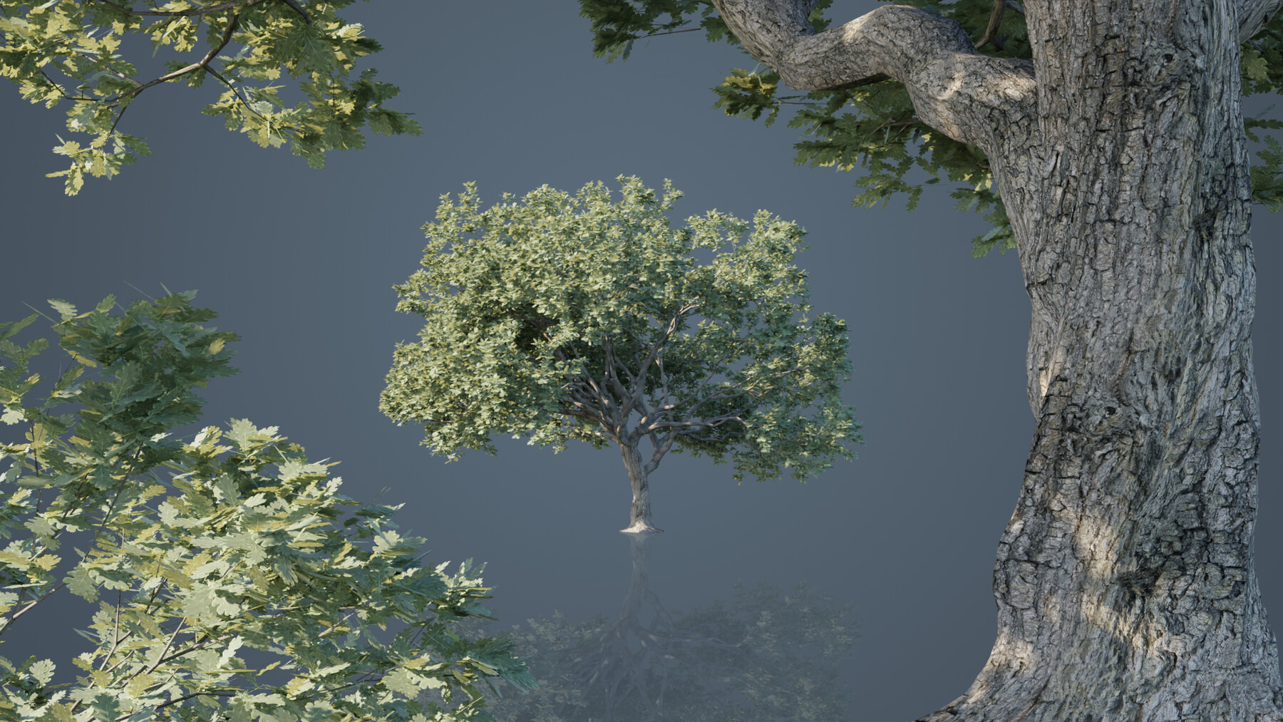 ArtStation - White Oak Trees | Game Assets