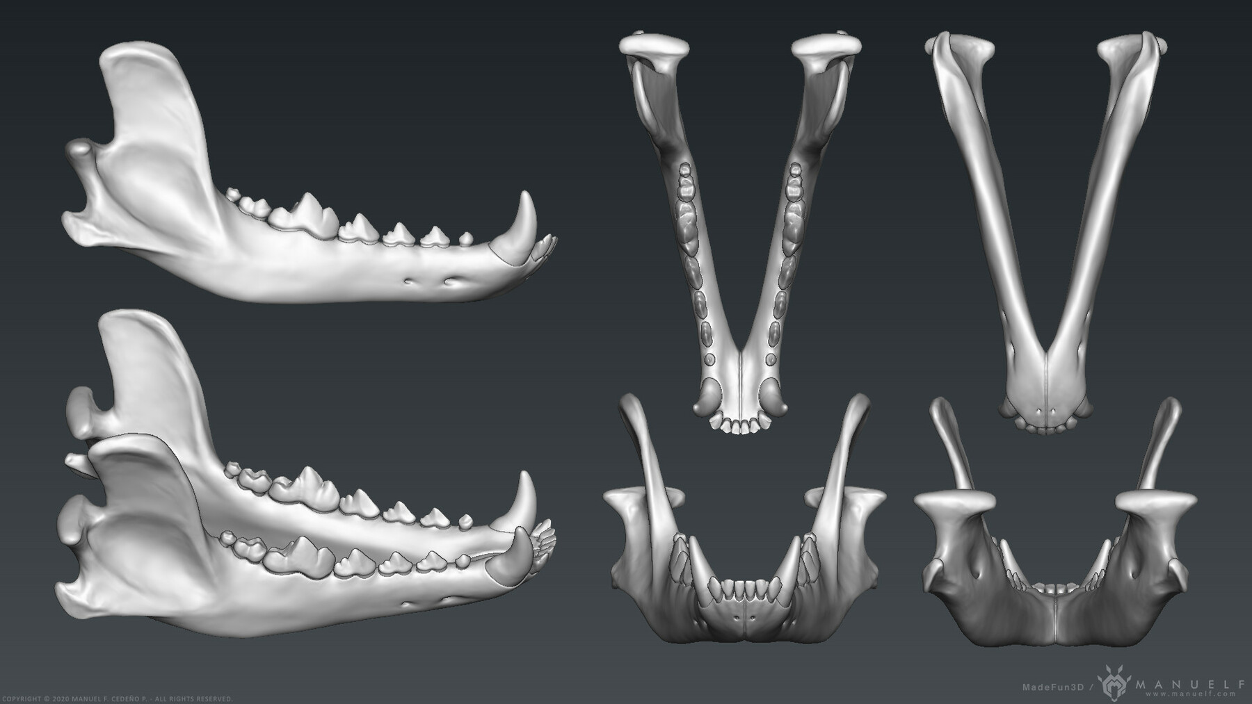 ArtStation - 3D Wolf Skull – Highpoly Sculpture | Resources