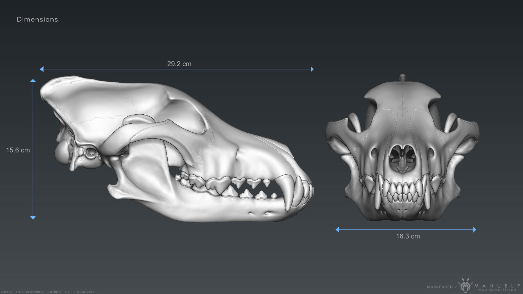 ArtStation - 3D Wolf Skull – Highpoly Sculpture | Resources