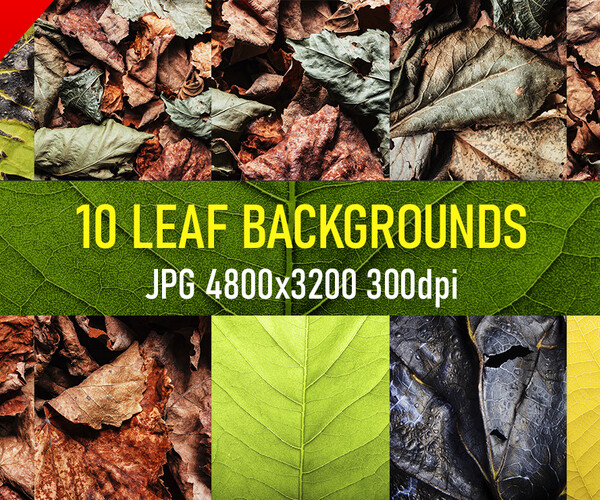 ArtStation - 10 Free texture reference background photos of dried ...