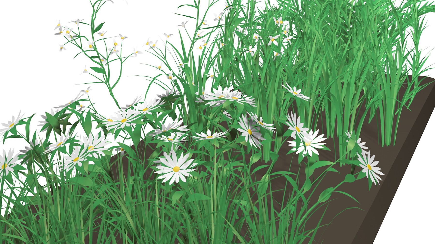 ArtStation - Herbage Various Set 6 piece | Resources