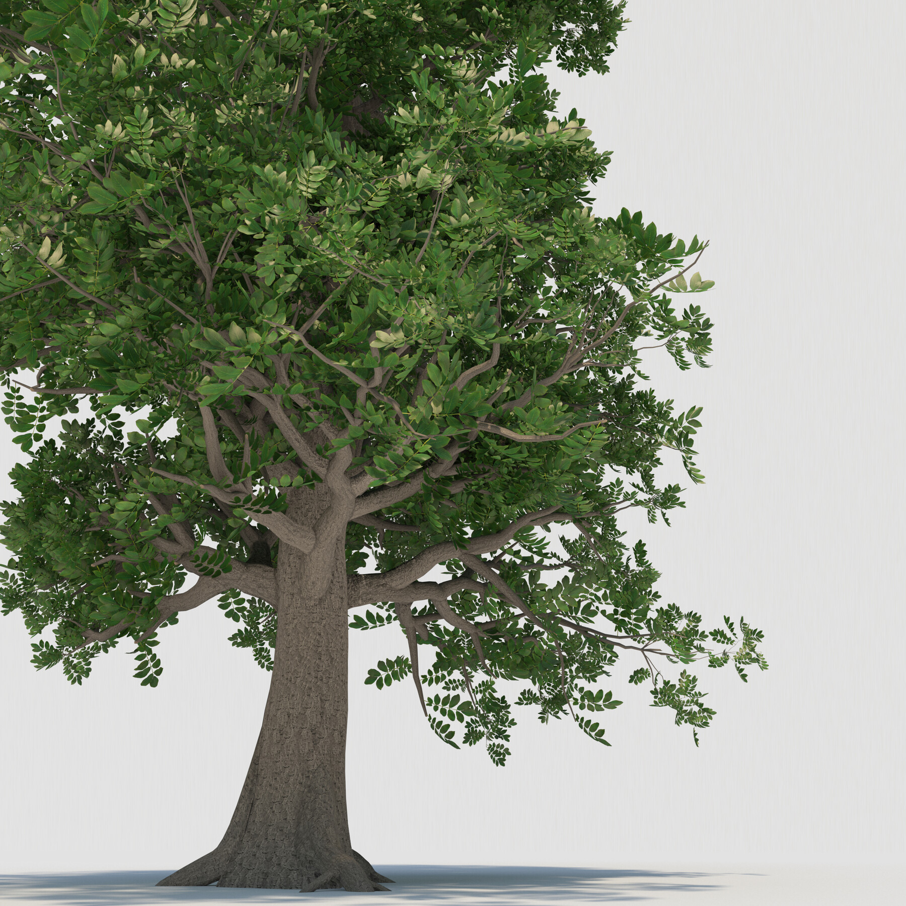ArtStation - tree003 | Game Assets