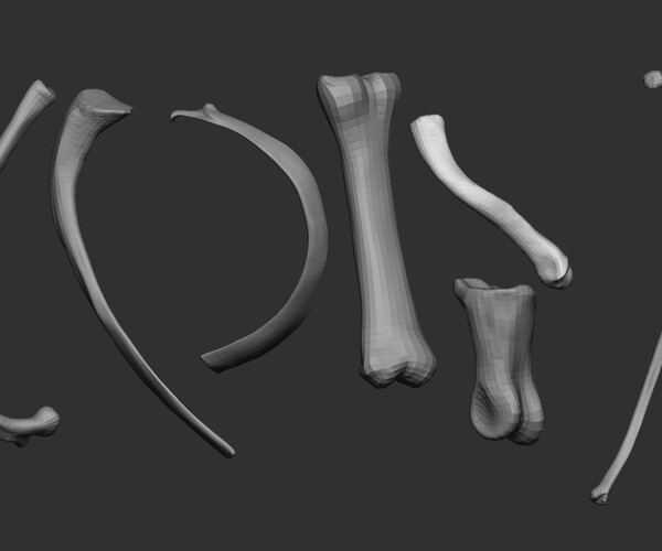 ArtStation - Pack of different animal bones IMM brush. | Brushes