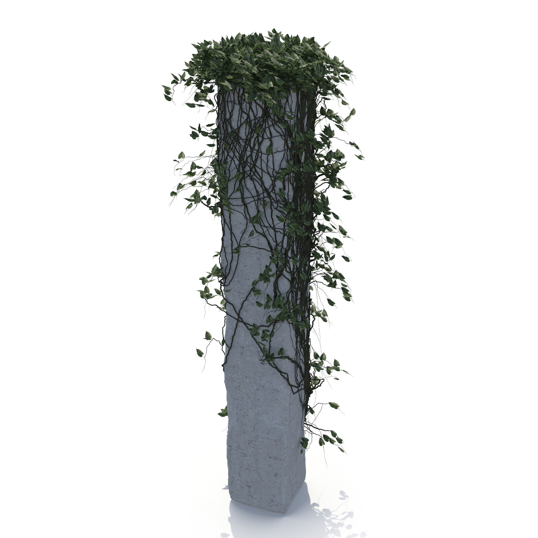 ArtStation - Ivy on a column V2 | Resources