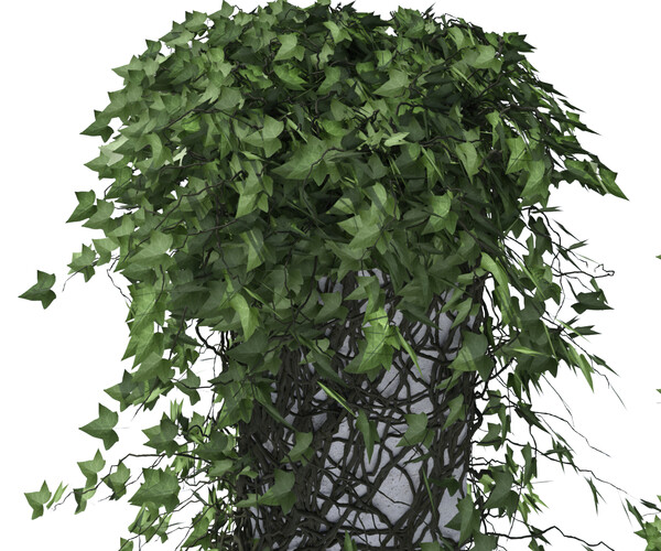 ArtStation - Ivy on a column V3 | Resources
