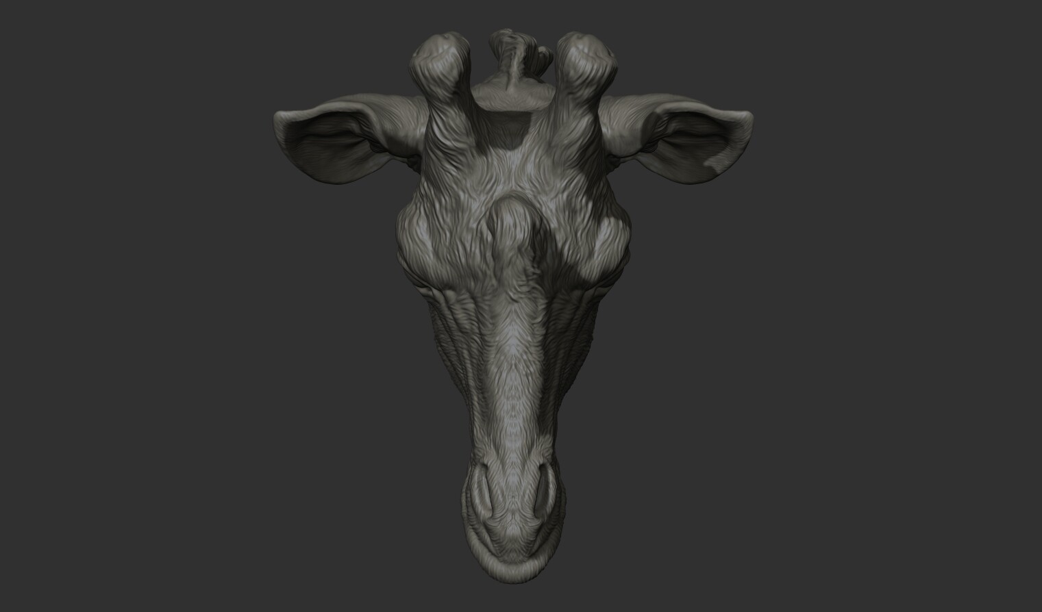 ArtStation - Giraffe head | Resources