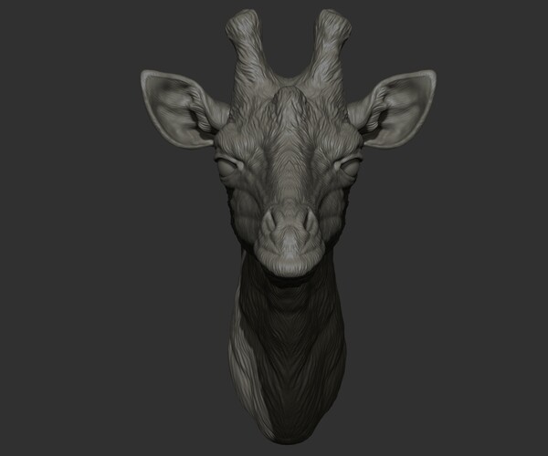 ArtStation - Giraffe head | Resources